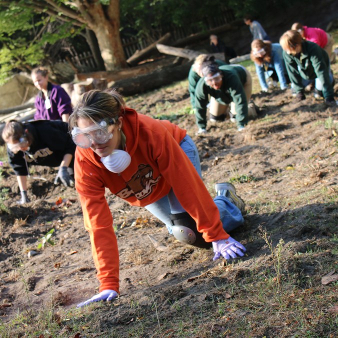 Animal Welfare: What is a Warthog Thinking? | Detroit Zoological ...