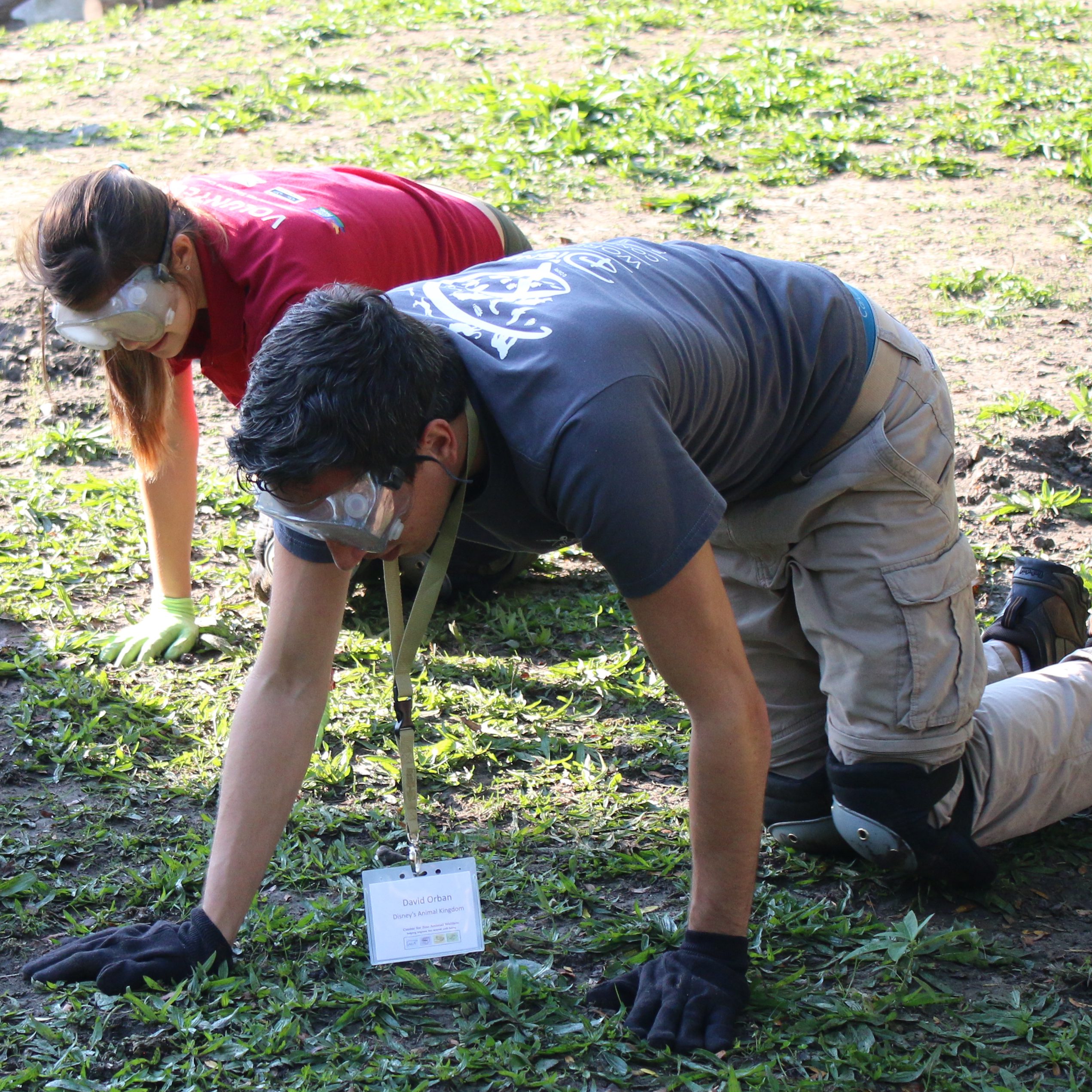Animal Welfare: Workshop Draws Zoo Staff from Around the Globe ...