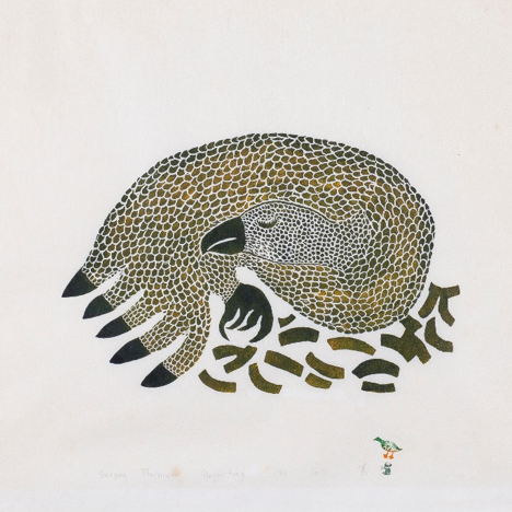 Education: Inuit Artwork in the Arctic Ring of Life | Detroit ...