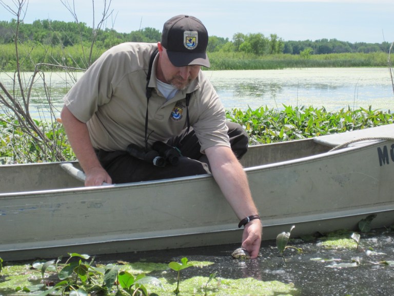Uncovering Turtle Personalities | Detroit Zoological Society Blog