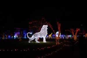 Five Reasons to Visit Wild Lights This Holiday Season | Detroit ...