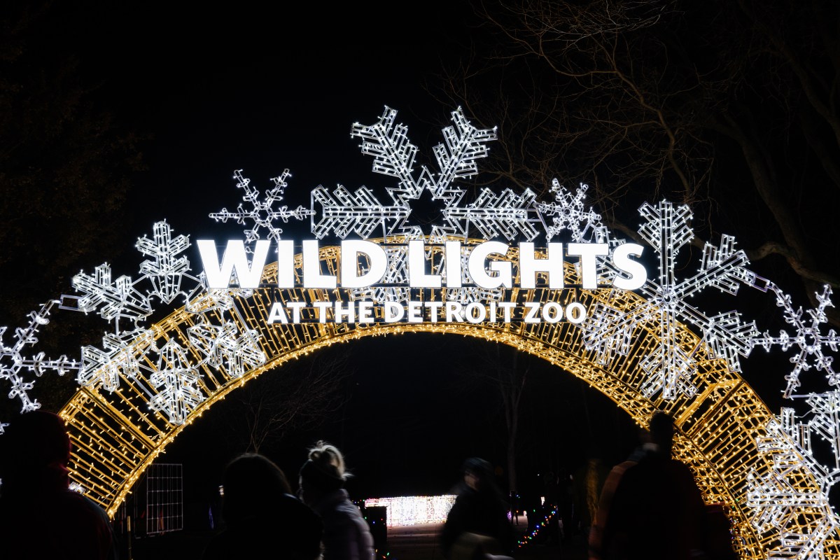 Five Reasons to Visit Wild Lights This Holiday Season | Detroit ...